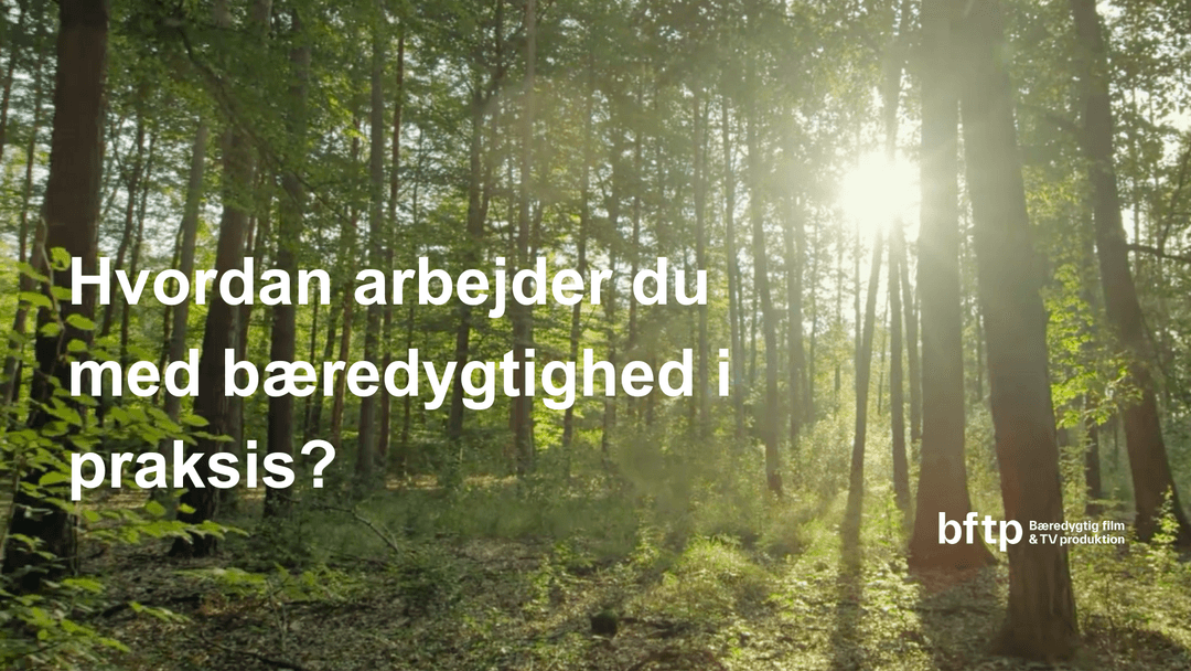 BFTP – Hvordan arbejder du med bæredygtighed i praksis?